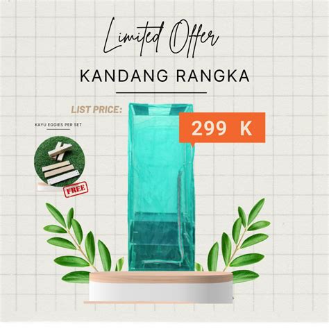 Jual Kandang Bsf Rangka Magobox Budidaya Lalat Black Soldier Fly Free Eggies Shopee Indonesia