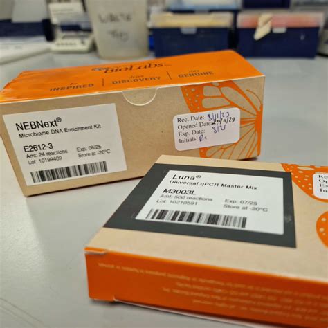 Microbial Dna Enrichment Of Rectal Mucosa Tissue Samples Using Nebnext