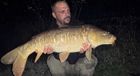 Mirror Carp Total Carp