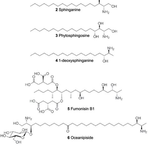 Pdf Hypoculoside A Sphingoid Base Like Compound From Acremonium Disrupts The Membrane