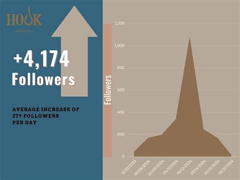 Chart Depicting Overall Instagram Follower Gain After Influencer