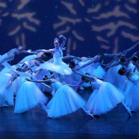 Lil Moose Video Youtube