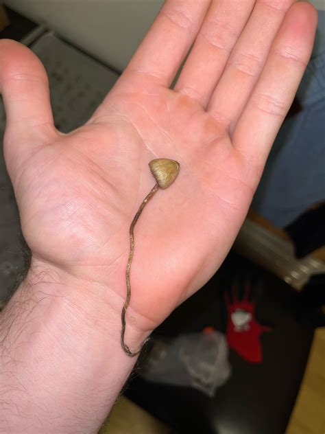 Id Please Rbeacain Id Please Rbeacain