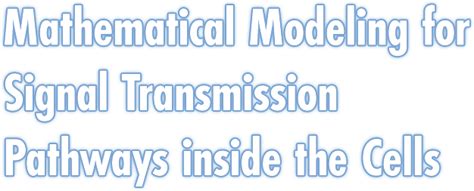 Mmds Osaka University Center For Mathematical Modeling And Data