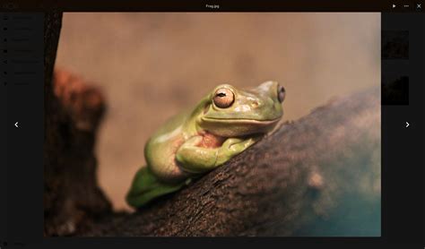 Uploaded Photos Are Not Shown In Full Size Issue Nextcloud Viewer GitHub