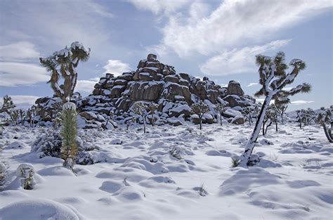 Snow In The Desert Joshua Tree National Park — Abandoned Places