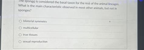 Solved The Spongse Is Considered The Basal Taxon For The