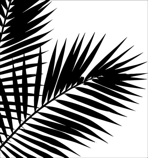 Palm Leaf Silhouette Vector Illustration 21665749 Vector Art At Vecteezy