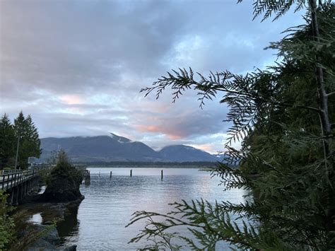 Visit Port Renfrew Bc The Tall Trees Capital Of Canada