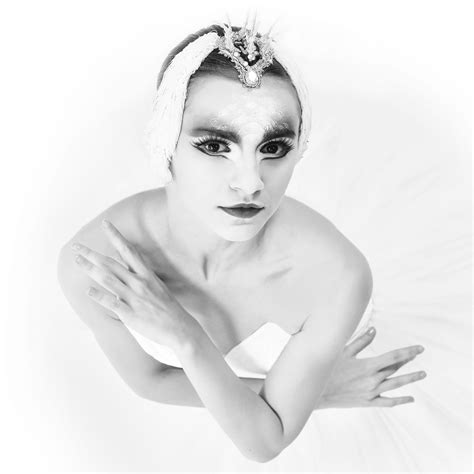 El Lago De Los Cisnes Auditori La Nucia