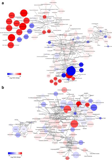 network module output from mummichog analysis of the qualitative and