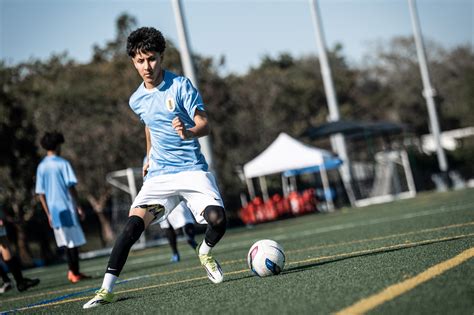 Comenzó El Camp Celeste De La Auf En Miami Auf