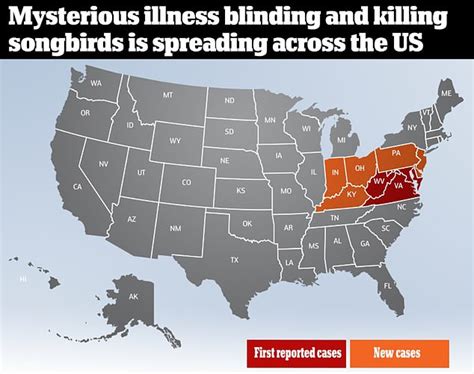Unknown Disease Blinding Killing Songbirds Now Reported In 9 States