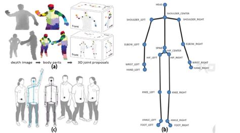 A Input And Output Of Algorithm Randomized Decision Forest For Download Scientific Diagram