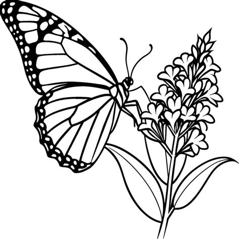 Butterfly Flying Coloring Pages