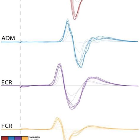 Electromyography Traces Electromyography Emg Traces From The Fdi