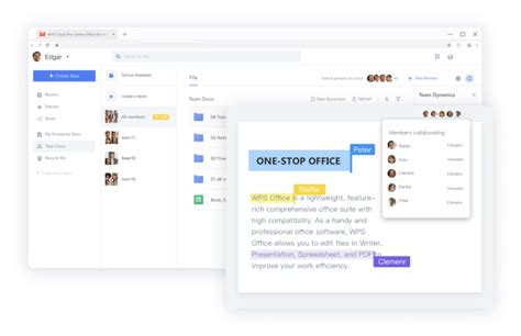 Wps 365 For Business Professional Office Suite