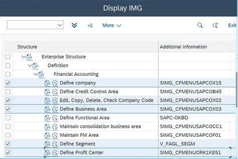 Sap Fico Enterprise Structure Gaurav Learning Solutions