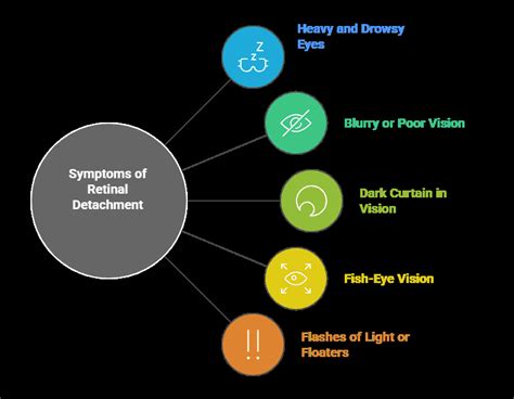 What Is Retinal Detachment Rd Insight Vision Center