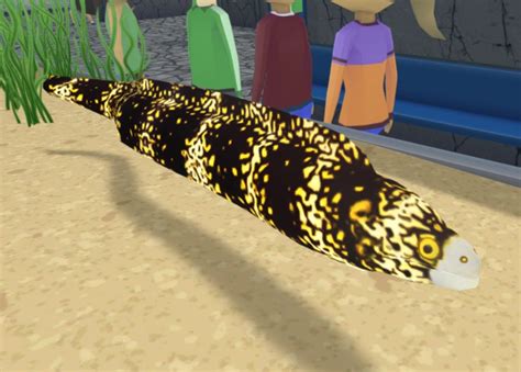 Snowflake Eel Megaquarium Wiki Fandom