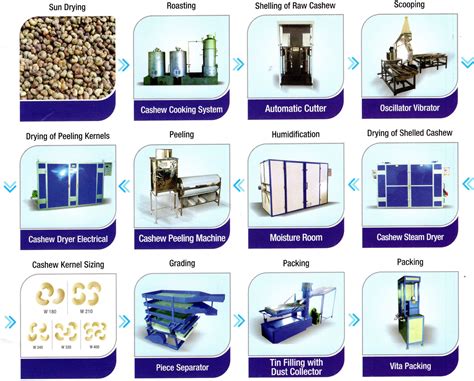 Cashew Processing Machinery Cashew Nut Process Plant India