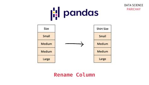 Pandas Rename Duplicate Column Names Catalog Library