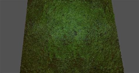 Patch Of Grass Flippednormals