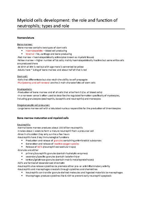 Bsc Myeloid Cells Development Myeloid Cells Development The Role And Function Of