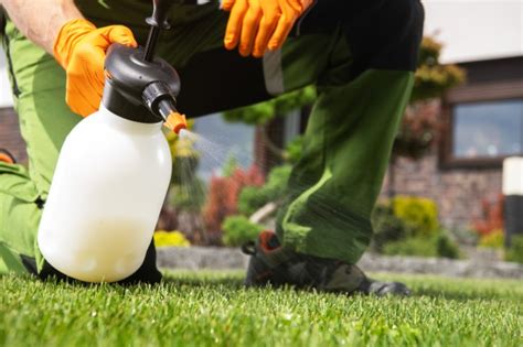 How To Kill Grass Permanently Step By Step Guide