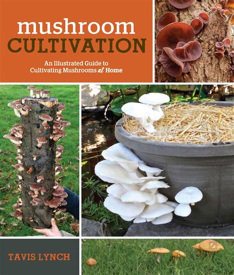 Growing Mushrooms Naturally Using The Trench Log And Log Raft Methods