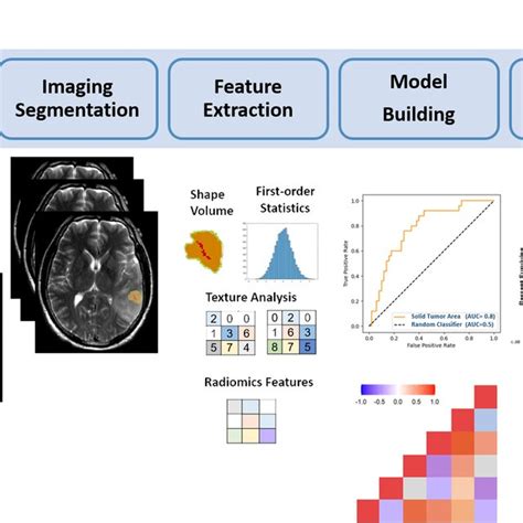 radiomics workflow it refers to the extraction of a vast dataset from