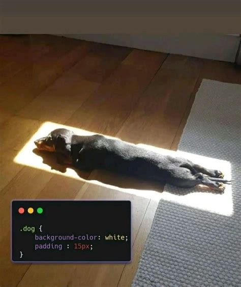 Status Webdeveloper Frontendwebdeveloper Backenddeveloper