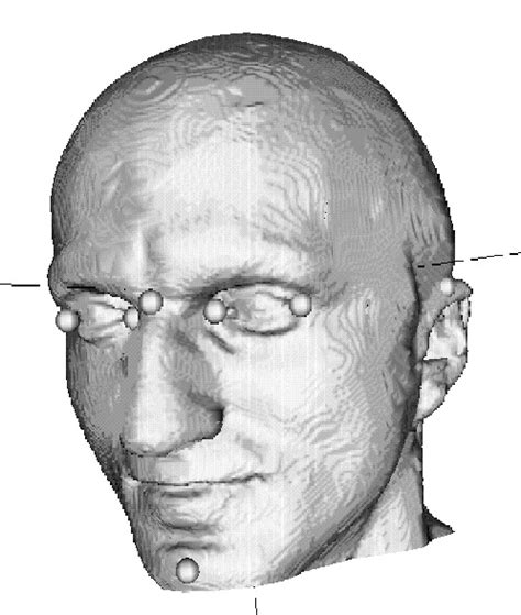 Recorded Anatomical Positions Eight Locations Used To Find A Download Scientific Diagram