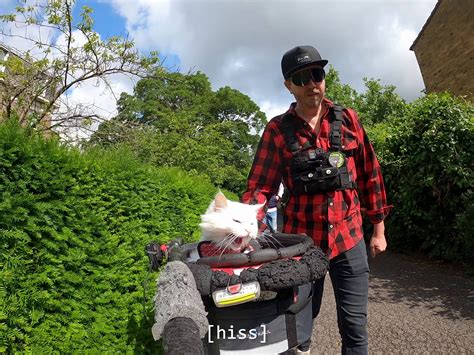 The Most Important Frame From Todays Video Imgur