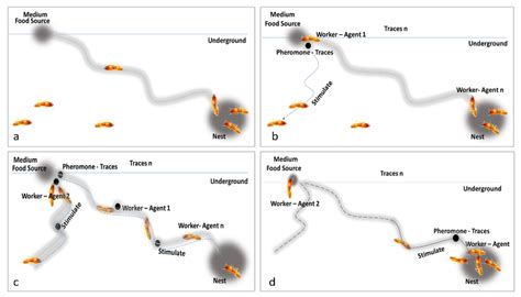 Scenario Ii Analysis Of Termite Colony Stigmergy Download Scientific Diagram