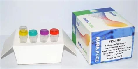 Feline Infectious Peritonitis Fip Real Time Pcr Kit At ₹ 25000kit Tiruvottiyur Tiruvallur