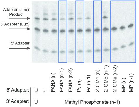 Ligation Screen For Modified Adapters That Suppress Adapter Dimer