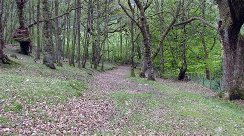 Moel Emoel Foothill Track Walk North Wales