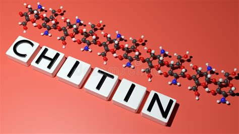 Chitin Molecules With Chitin Letters On The Dice Stock Illustration Illustration Of Biopolymer
