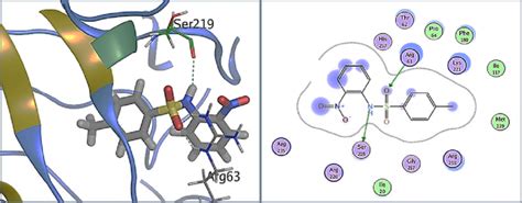 1c Bound In Dhps Binding Pocket A Dhps Residues Exhibiting Multiple