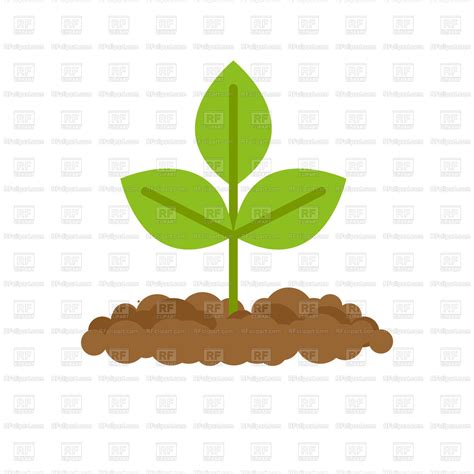 Sprout Vector At Collection Of Sprout Vector Free For