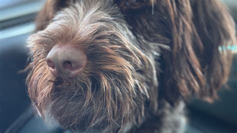 Using Design Thinking To Solve Complex Business Problems A Leaders