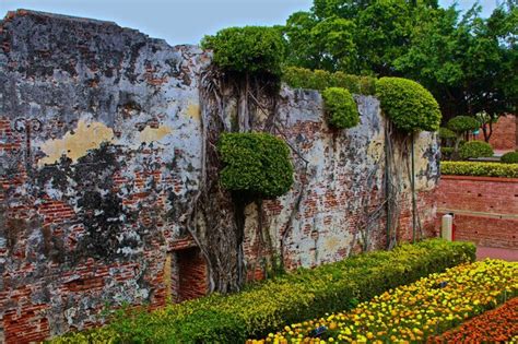 Premium Photo Ivy Growing On Built Structure