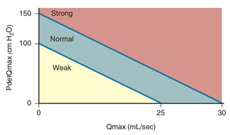 Normal Urodynamics