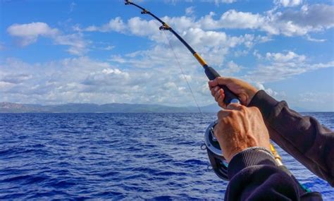 Alat Pancing Ideal Untuk Mancing Di Laut