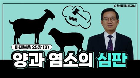 양과 염소의 심판 Youtube