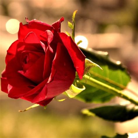 Stream Adeel Ilyas Listen To Hostel Playlist Online For Free On Soundcloud