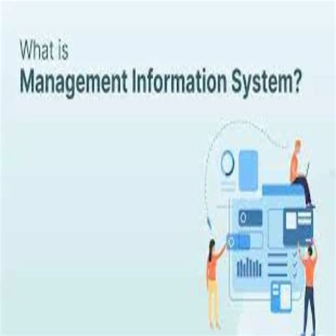 Online Cloud Based Management Information System At ₹ 35000piece In
