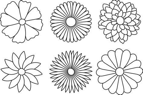 Flower Vector Outline 19200 Wildflower Outline Stock Illustrations