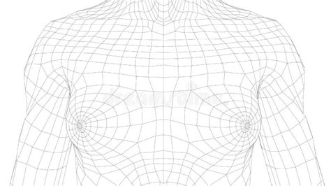 Wireframe Female Breast Close Up View Stock Illustration